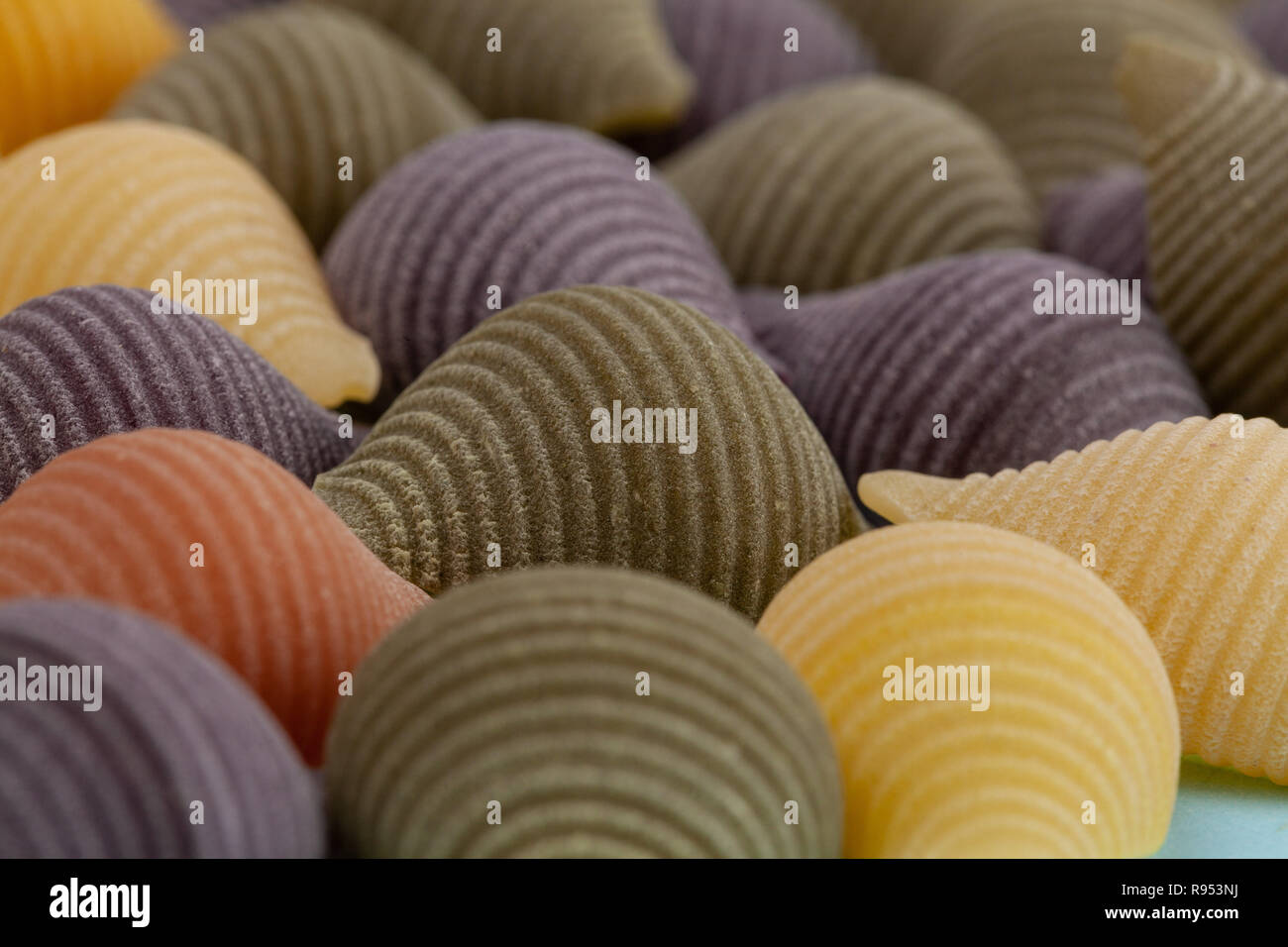 Conchiglie hi-res stock photography and images - Alamy