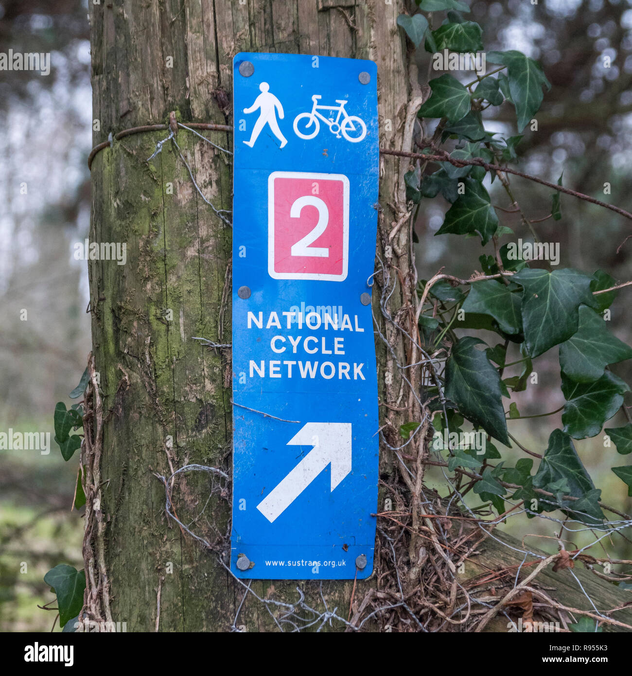 Sustrans National Cycle Network route sign near Par, Cornwall. Cycling ...