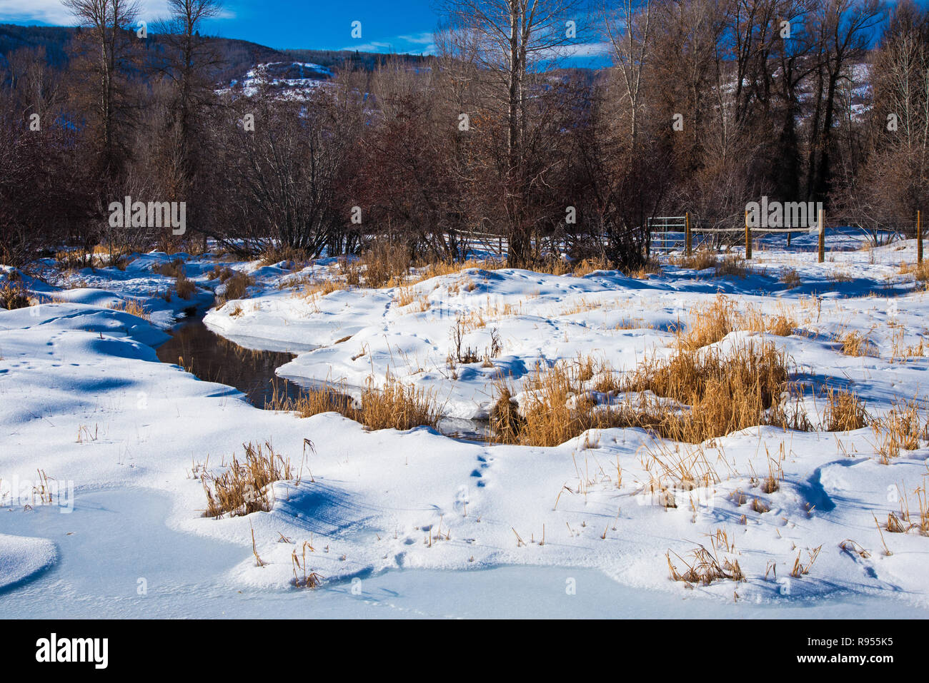 Peaceful water meadow scene hi-res stock photography and images - Alamy