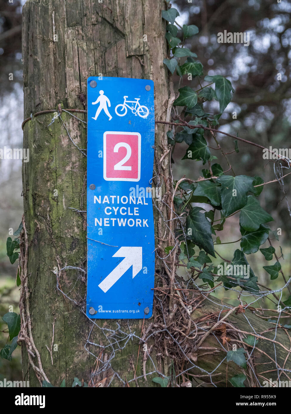 Sustrans National Cycle Network route sign near Par, Cornwall. Cycling ...