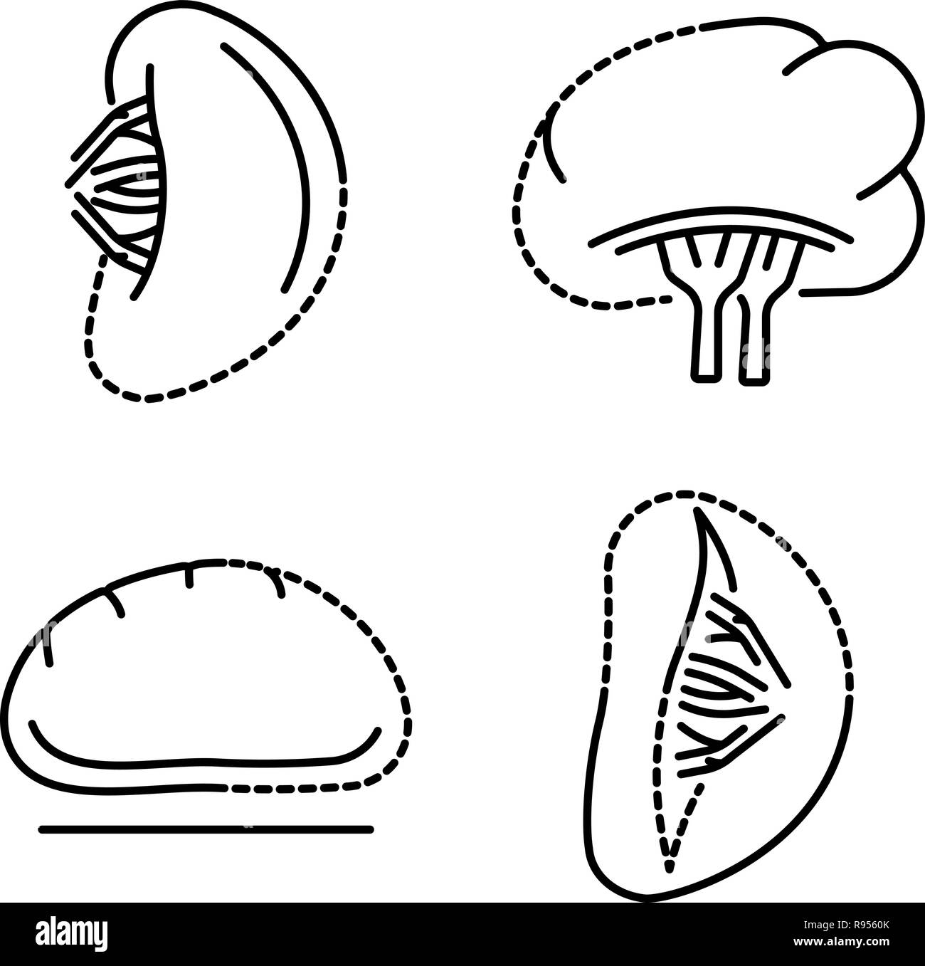 Human spleen lymphatic organ Stock Vector Images - Alamy