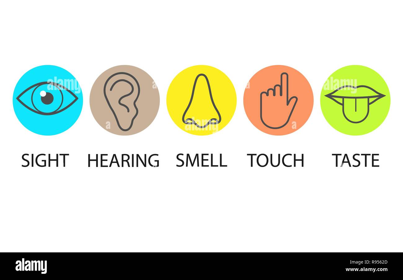 Human senses icon. Vector illustration flat Stock Vector Image & Art ...