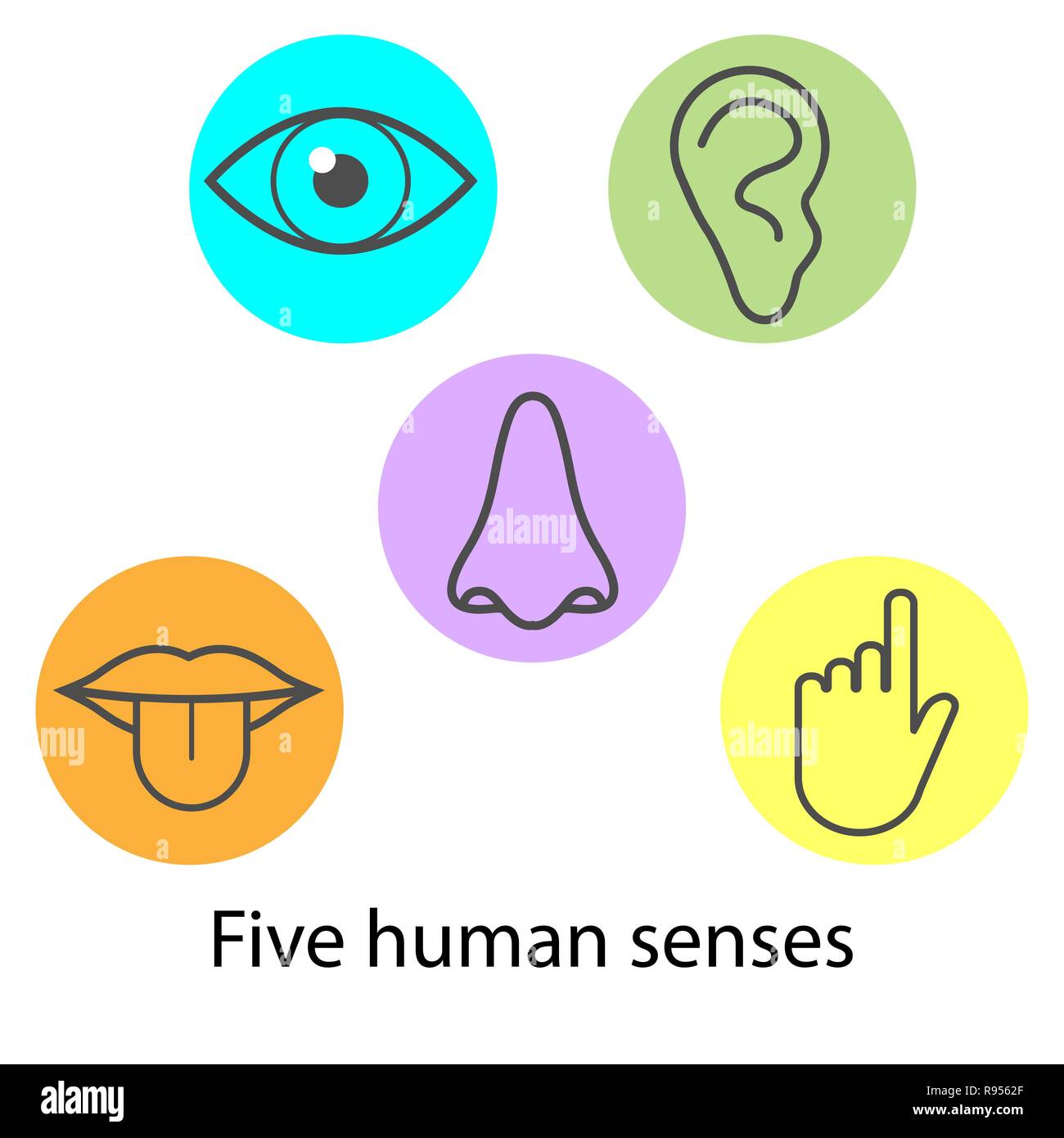 Human senses icon. Vector illustration flat Stock Vector Image & Art ...