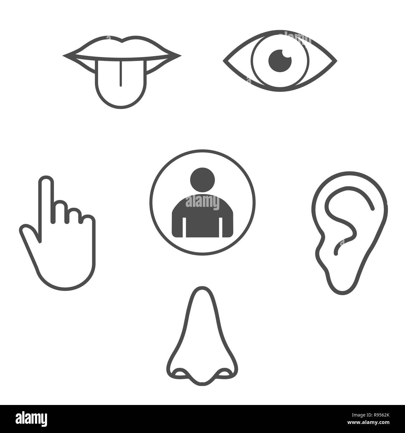 Five senses Black and White Stock Photos & Images - Alamy