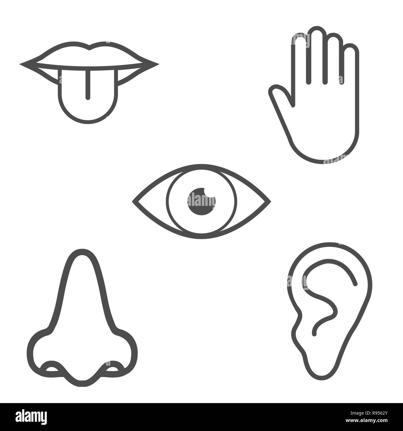 5 Senses Clipart Black And White
