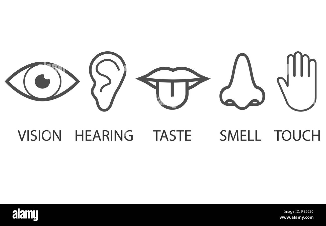 Five Senses Cut Out Stock Images & Pictures - Alamy