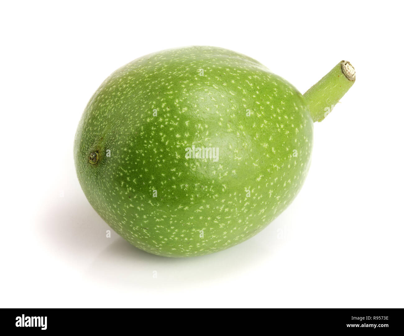 fresh walnut in peel isolated on white background Stock Photo - Alamy