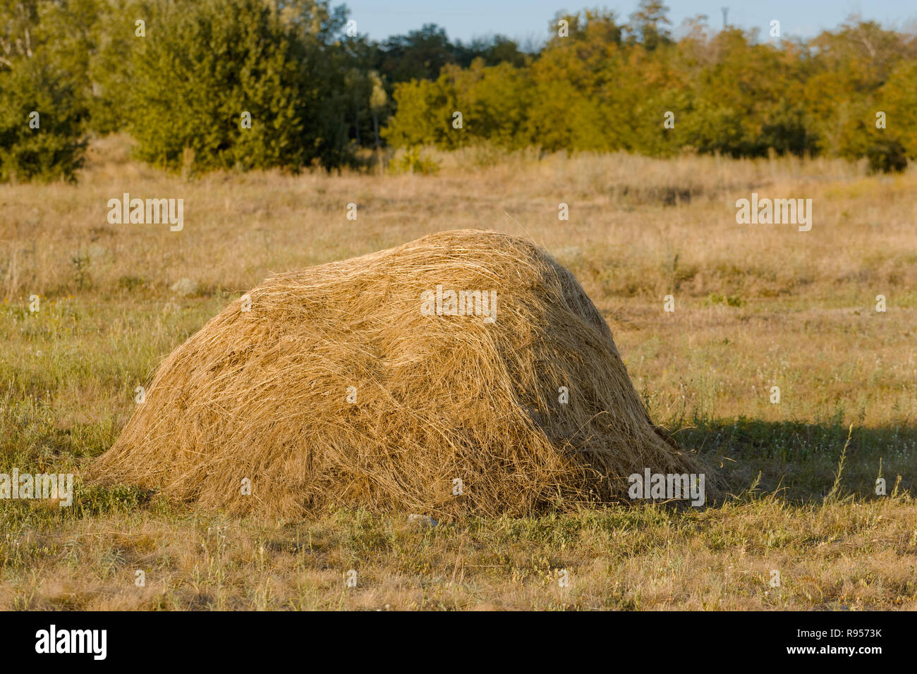 Straw stack hi-res stock photography and images - Alamy