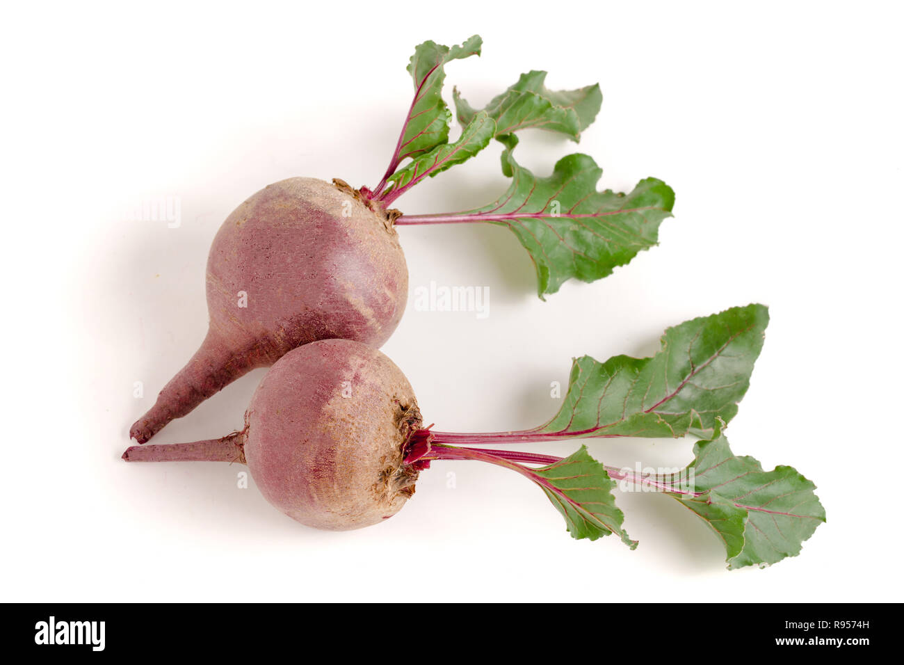 Beetroot with leaf isolated on white background Stock Photo - Alamy