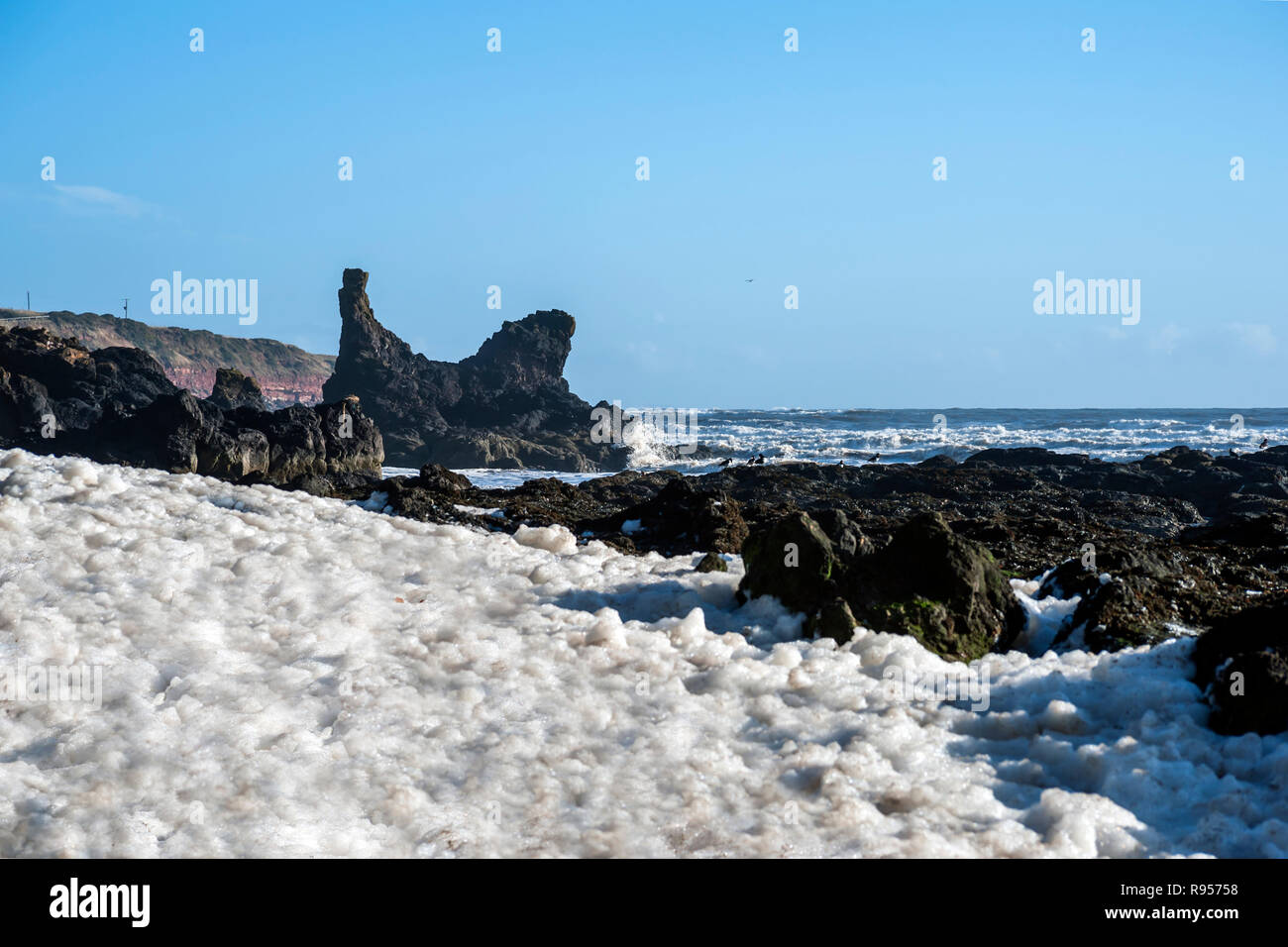 Algal foam on beach hi-res stock photography and images - Alamy