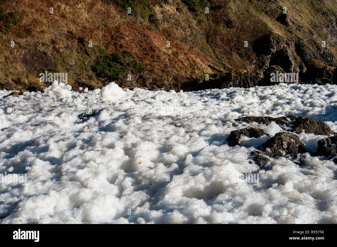 Spume, beach foam, ocean foam or sea foam high on the beach of St ...
