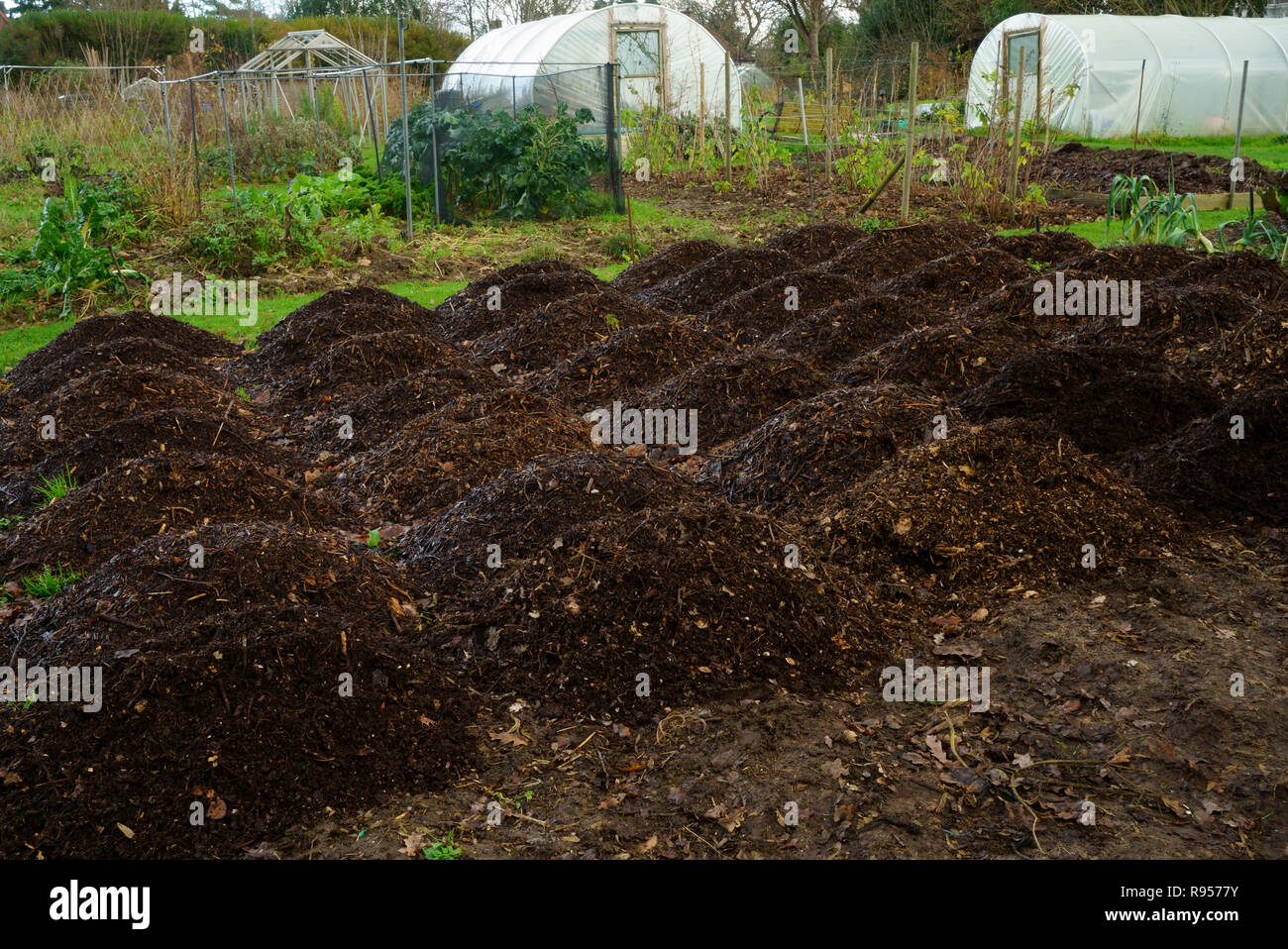 Compost piles hi-res stock photography and images - Alamy