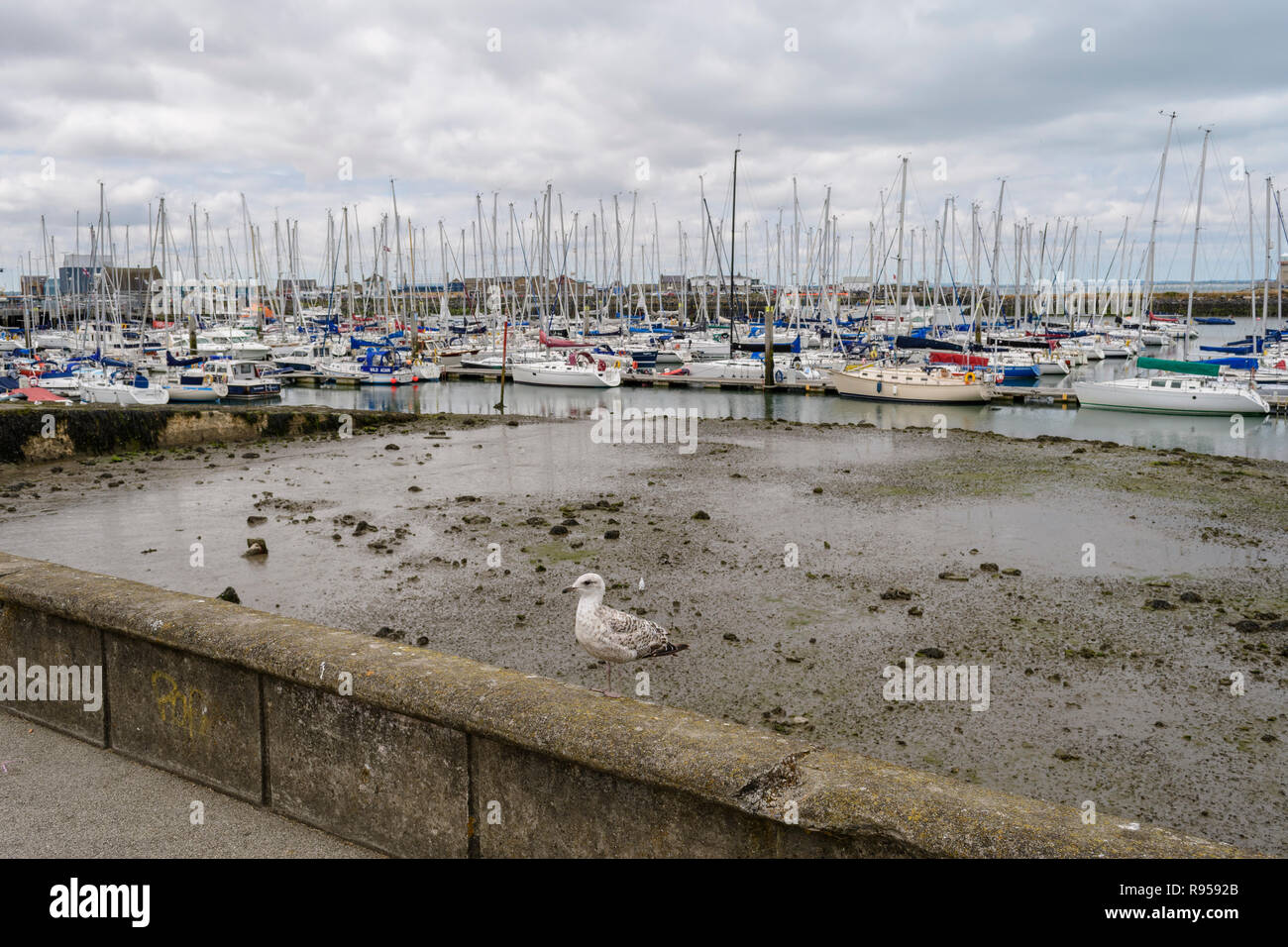 Marina with sailing boats on Howth peninsula, Dublin, Ireland Stock ...