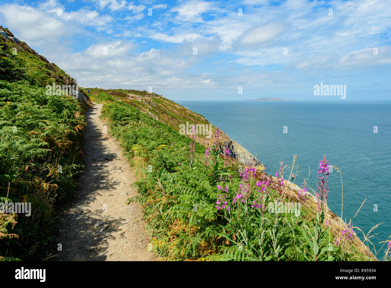 Howth peninsula, Dublin, Ireland Stock Photo - Alamy