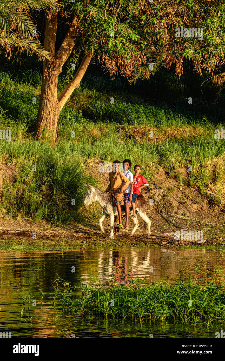 Children riding a donkey hi-res stock photography and images - Alamy