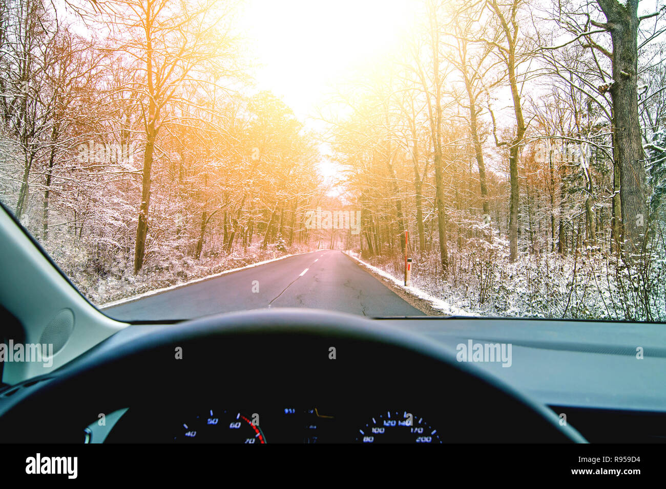 Pov driving through forest road hi-res stock photography and images - Alamy