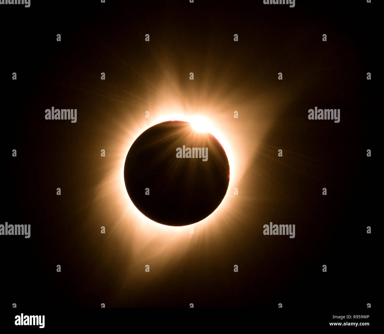 Total contrast hi-res stock photography and images - Alamy