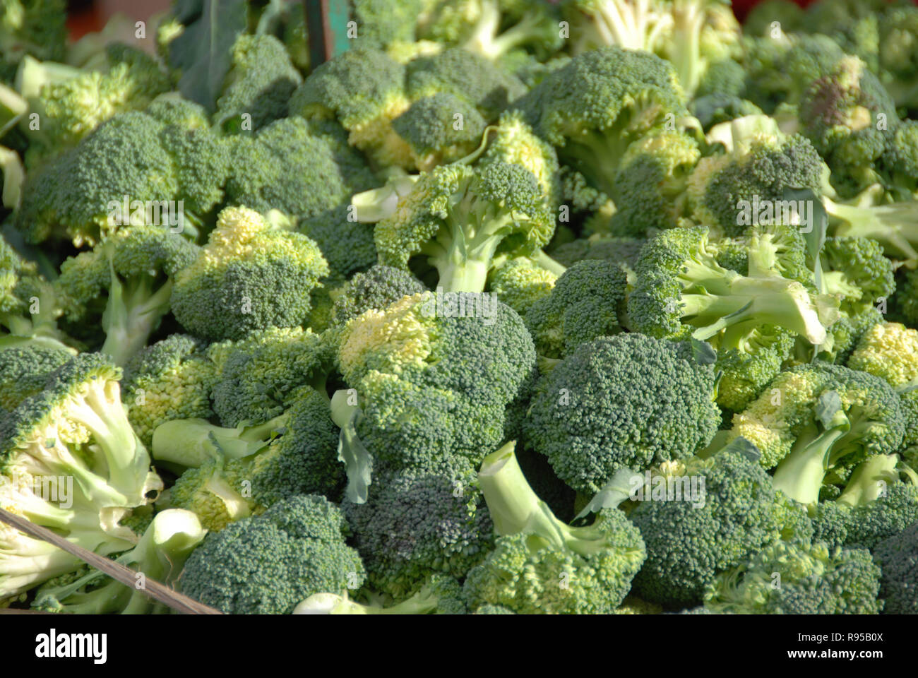 Broccoli on sale at the market Stock Photo - Alamy
