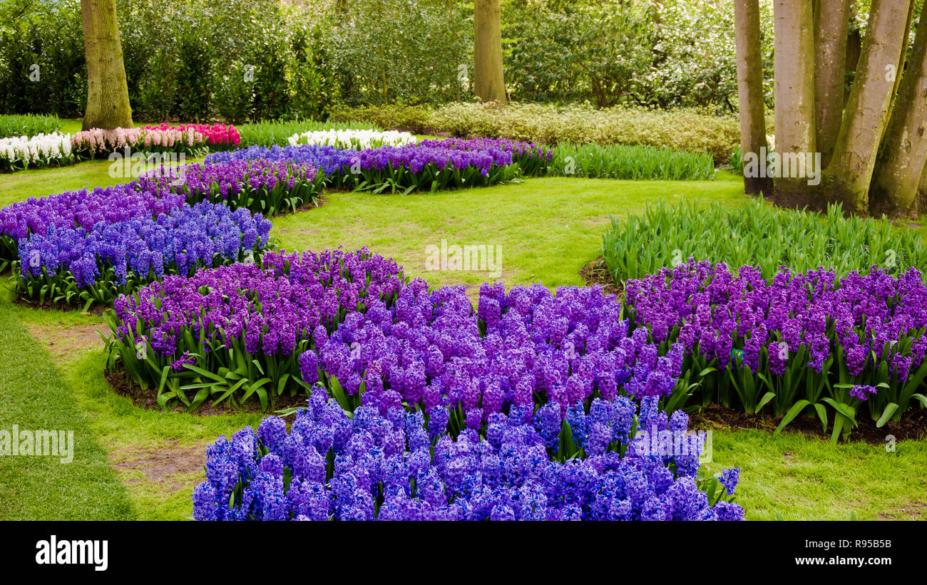 Colourful Spring Formal Garden Stock Photo - Alamy