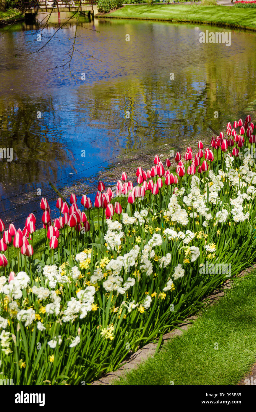 Colourful Spring Formal Garden Stock Photo - Alamy