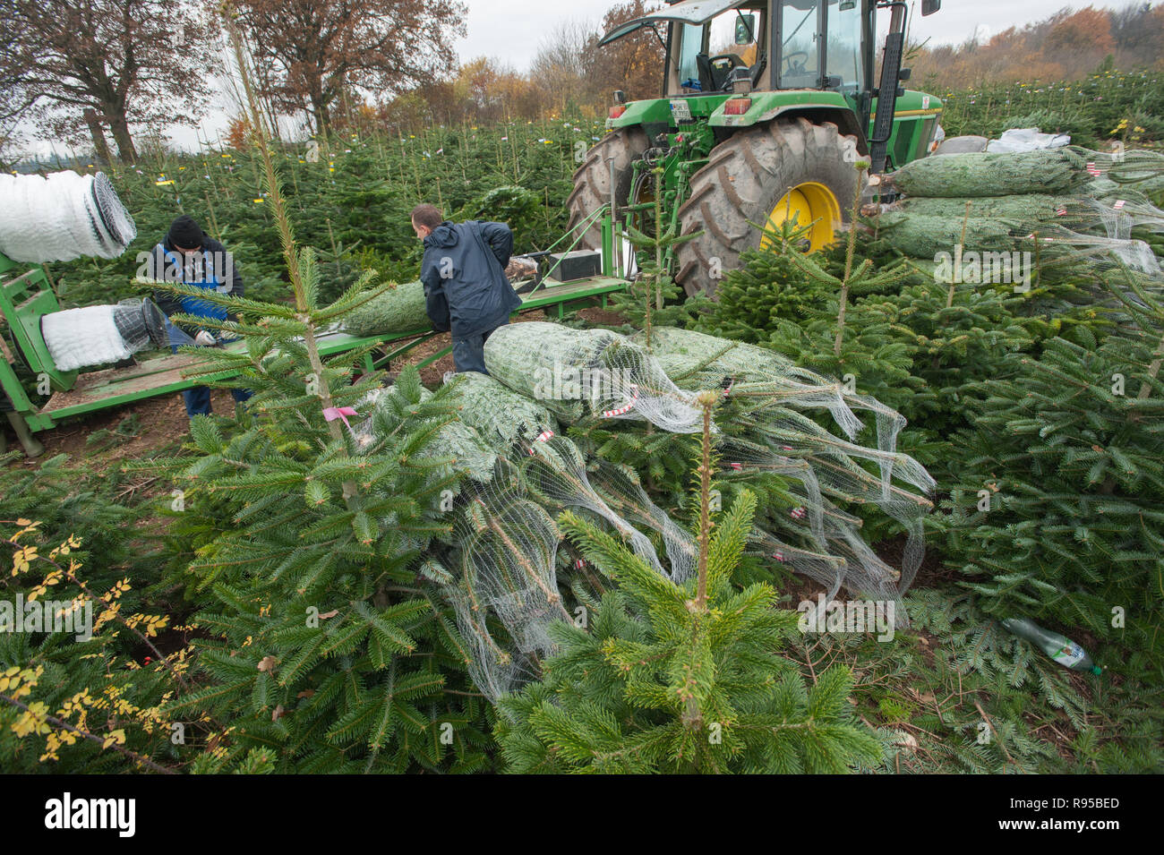 Sierhagen hi-res stock photography and images - Alamy