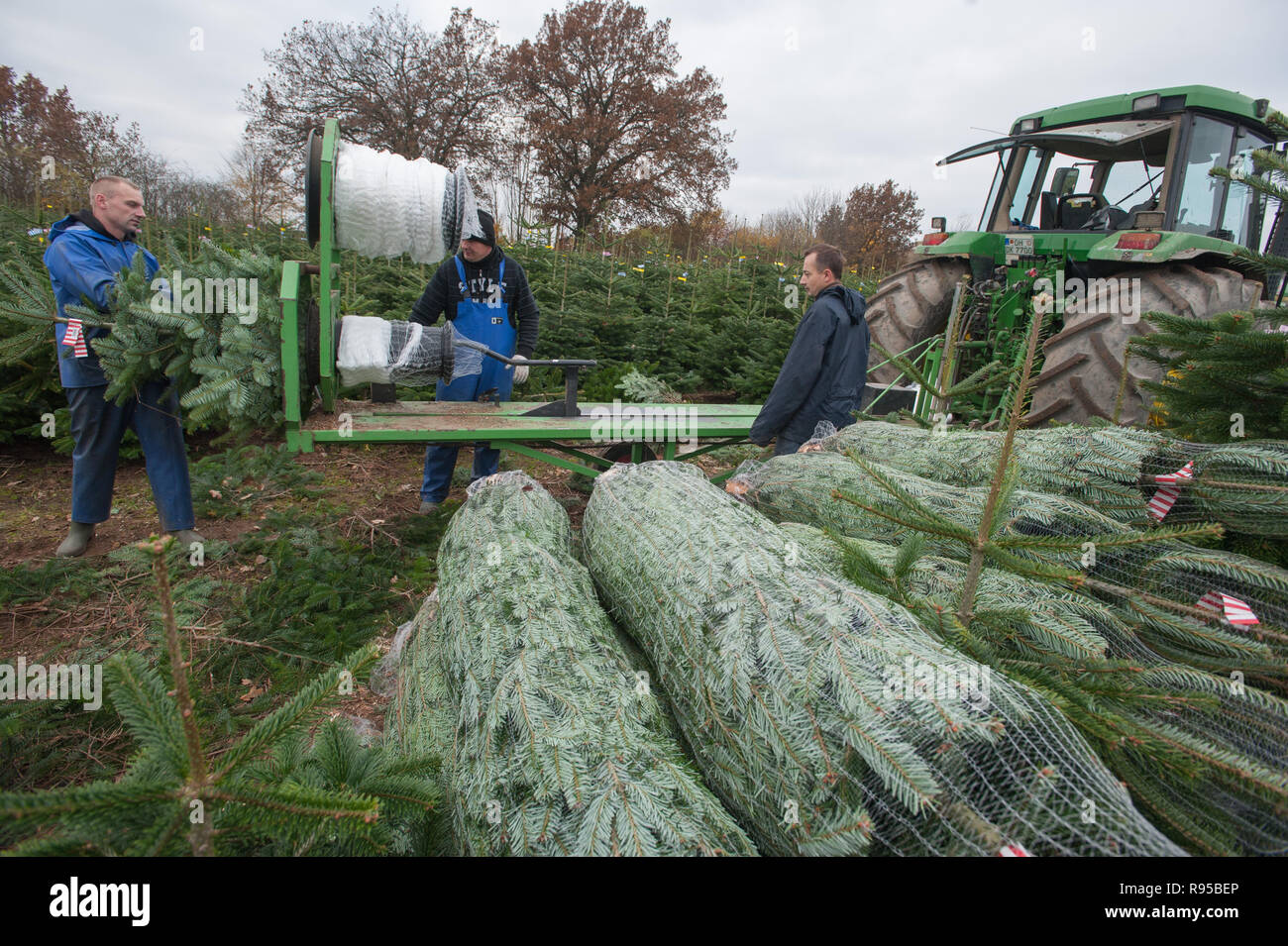 Sierhagen hi-res stock photography and images - Alamy