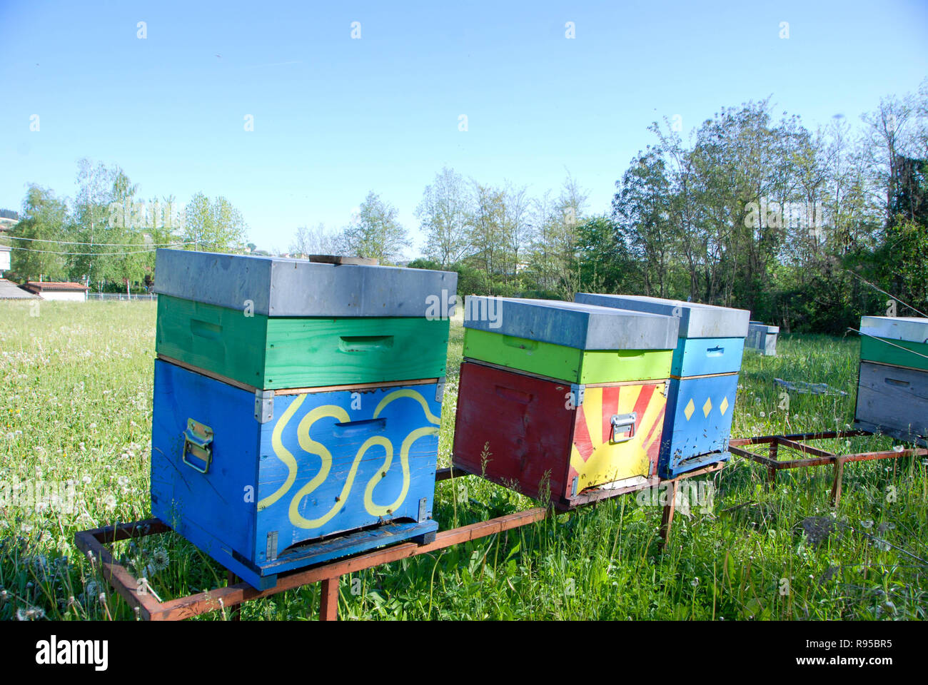 Bees in hives produce sweet honey Stock Photo - Alamy