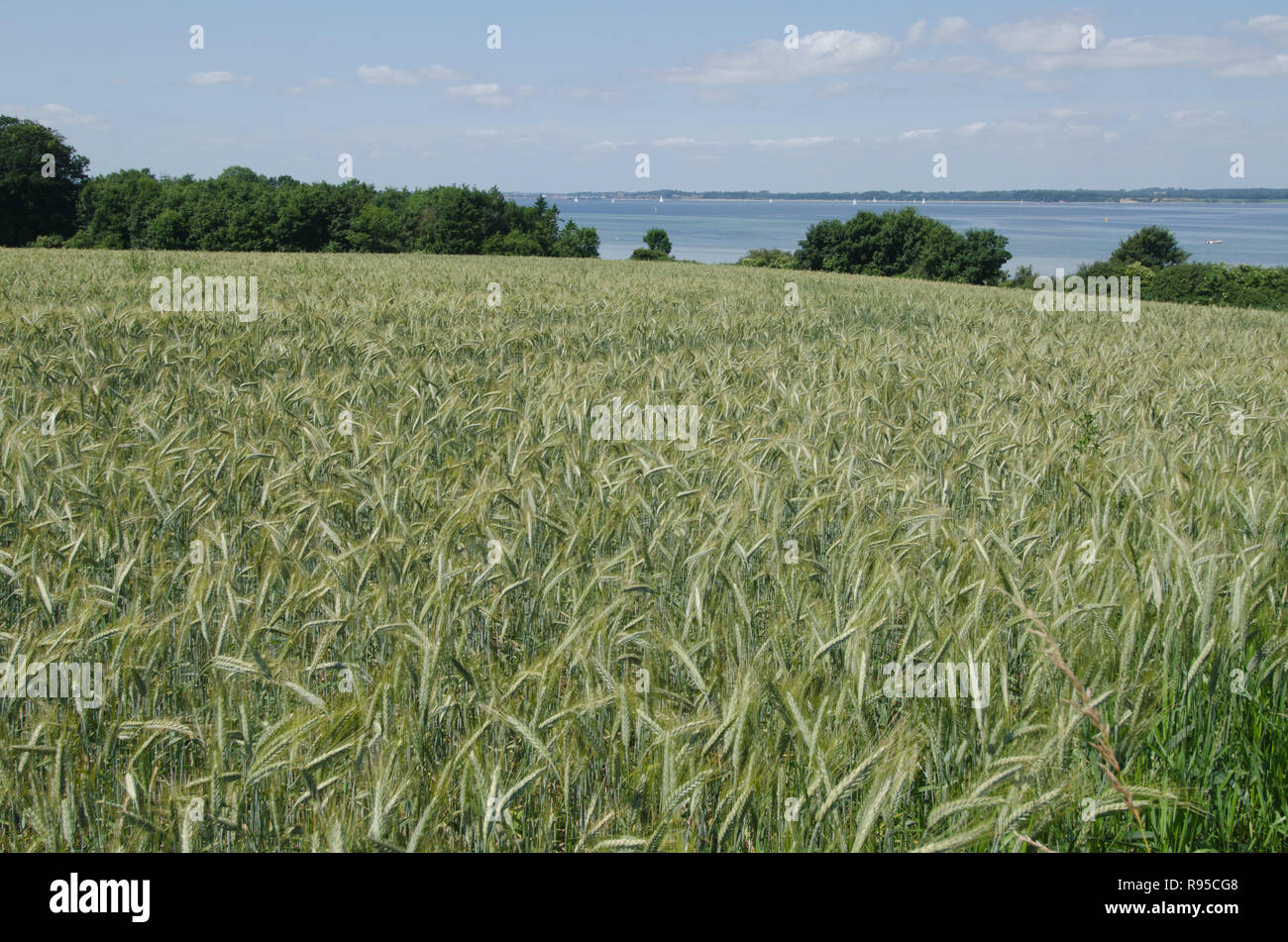 Lindhoeft hi-res stock photography and images - Alamy