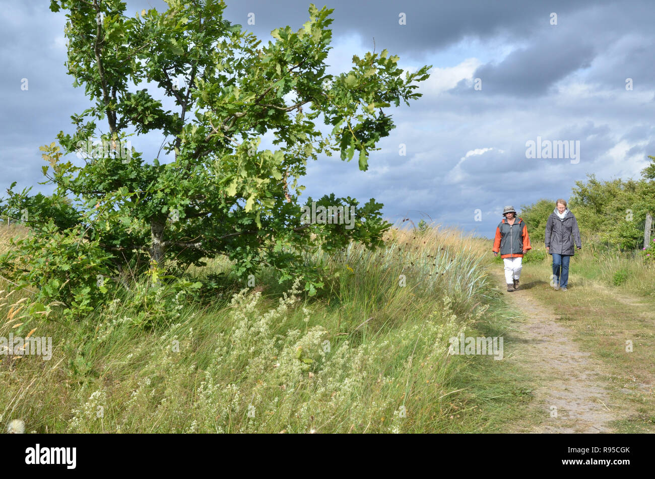 Lindhoeft hi-res stock photography and images - Alamy
