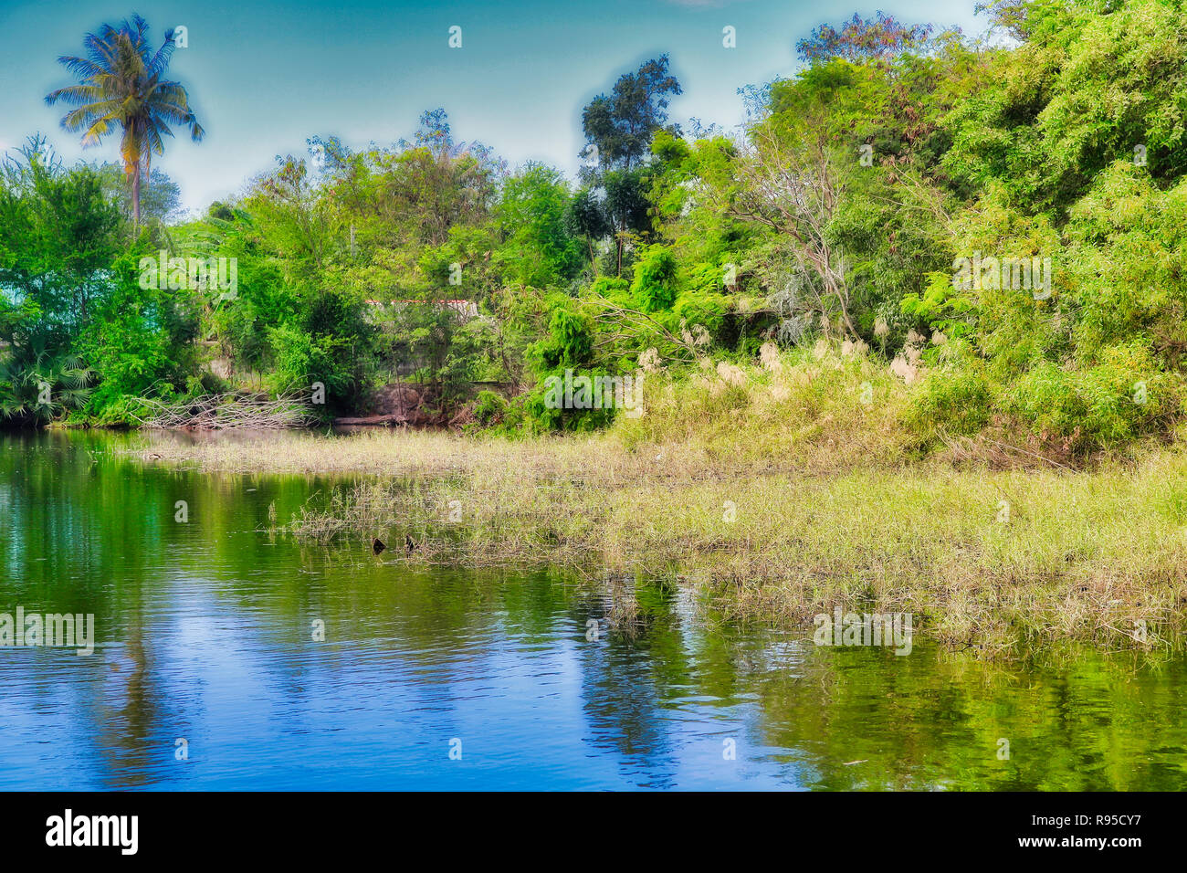 This fantastic nature photo shows a beautifully overgrown natural lake ...