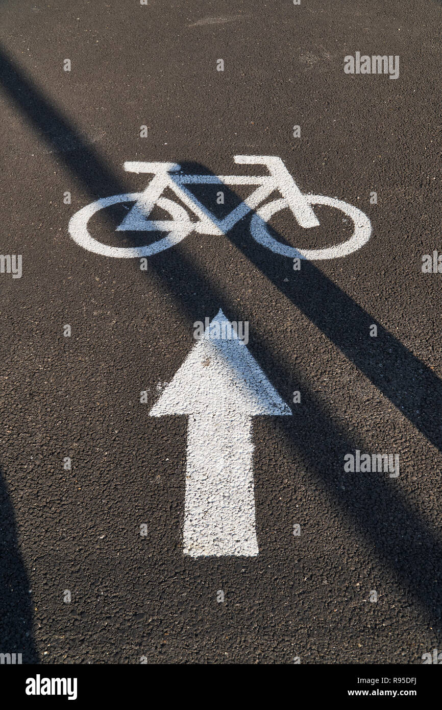 Bicycle-only road mark and arrow painted on a asphalt road in a park in ...