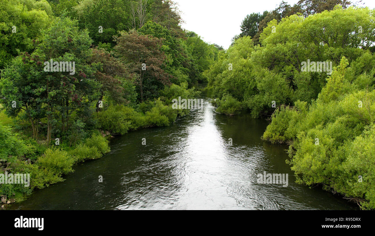 A river flowing through a forest Stock Photo - Alamy