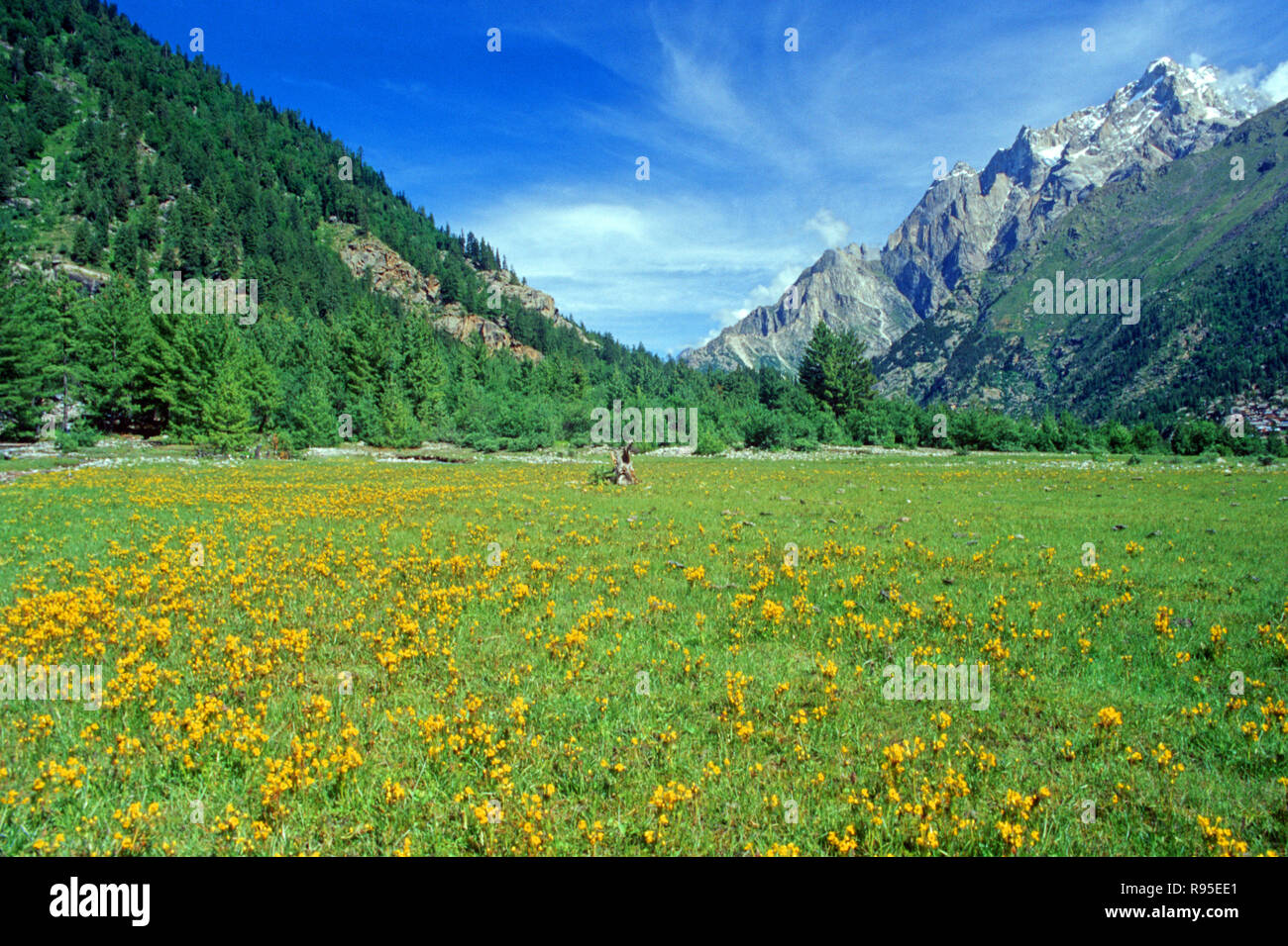 Chitkul, Sangla, Kinnaur, Himachal Pradesh, india Stock Photo - Alamy