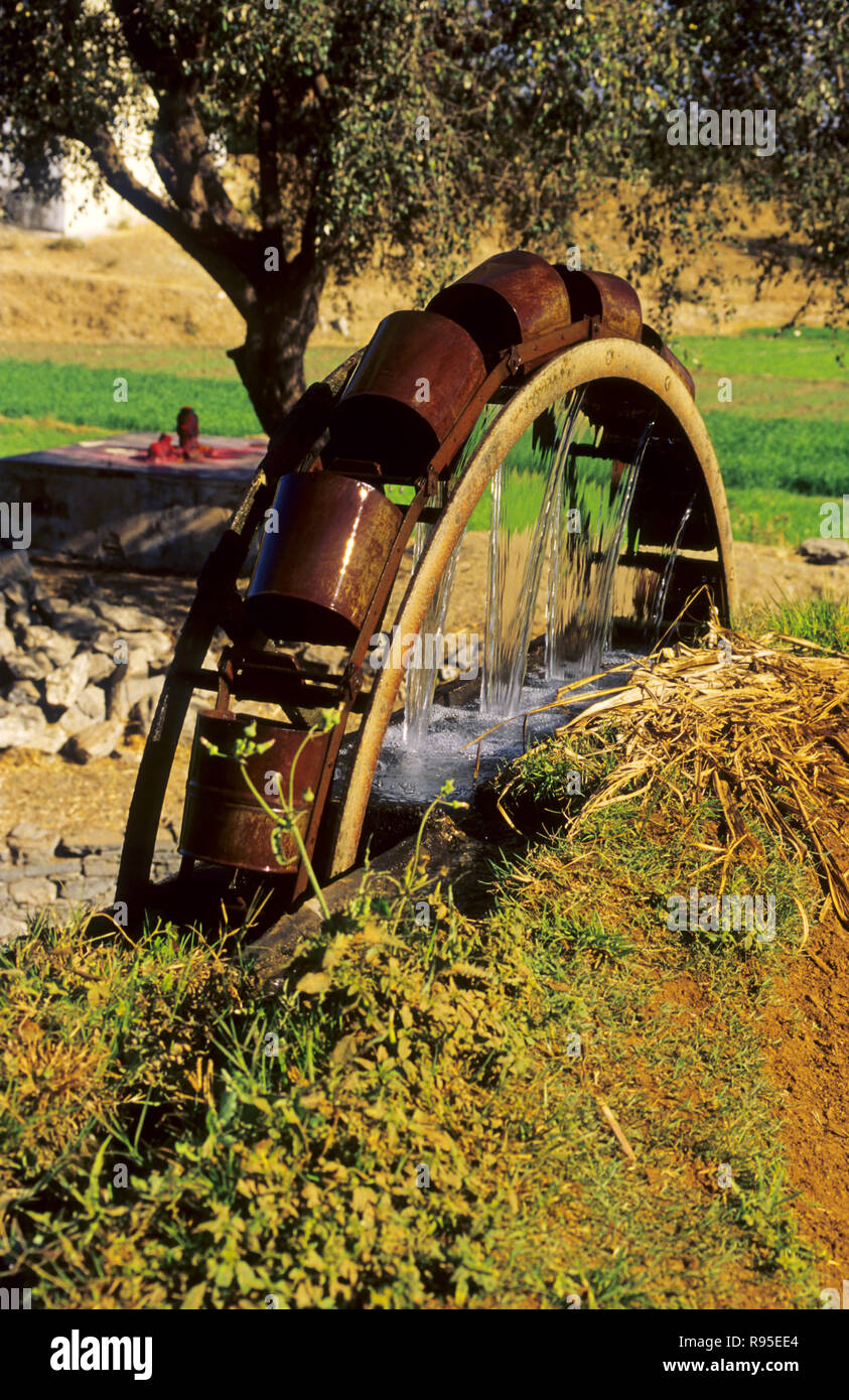 Water wheel india hi-res stock photography and images - Alamy