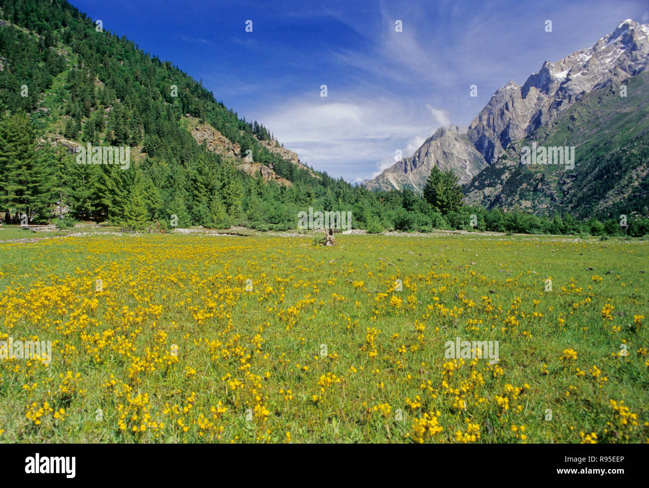 Landscape, Raksham, sangla, kinnaur, himachal Pradesh, India Stock ...