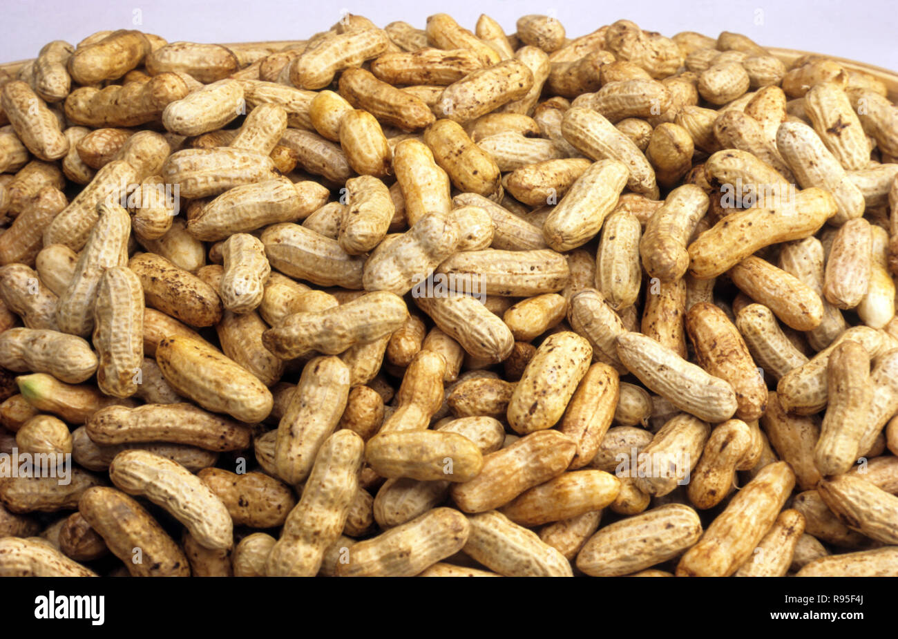 Indian groundnuts hi-res stock photography and images - Alamy