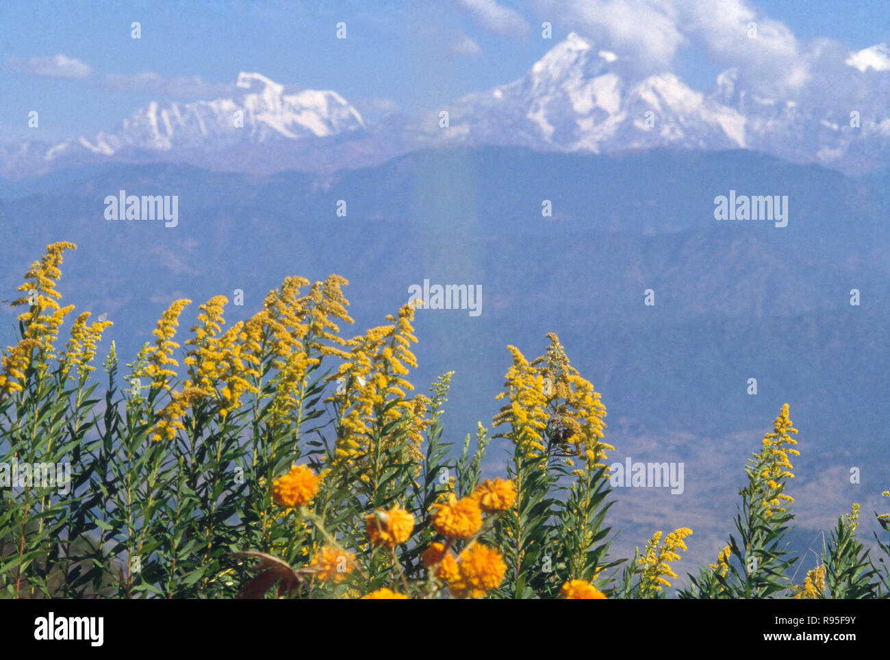 Departmental arrangement hi-res stock photography and images - Alamy