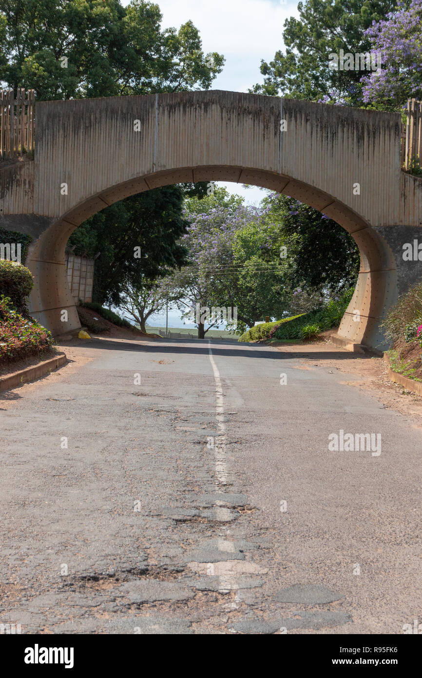 Open road bridge sunny trees hi-res stock photography and images - Alamy