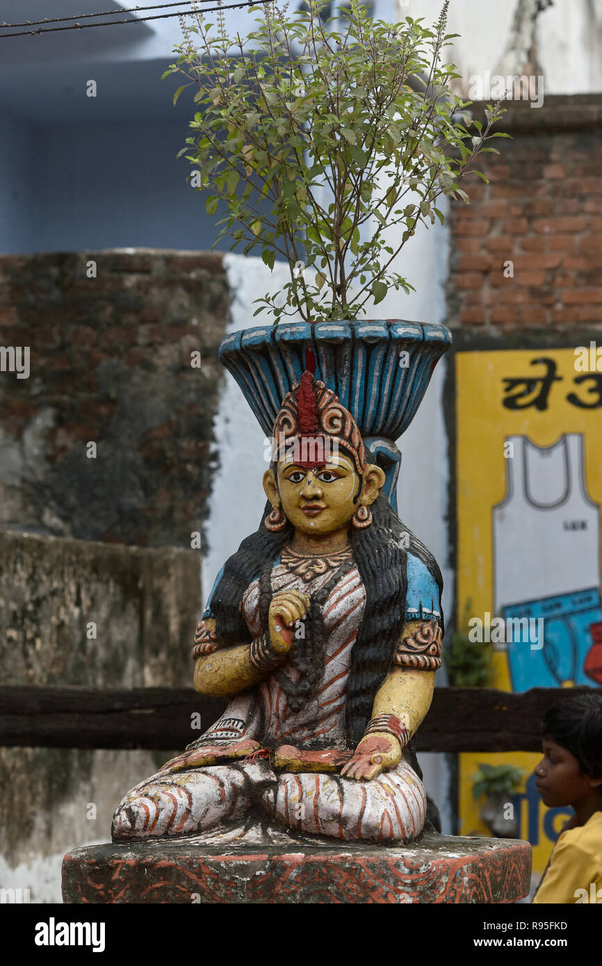 25-Jul-2007-Traditional Tulsi Vrinda Puri Orissa or Odisha INDIA asia ...