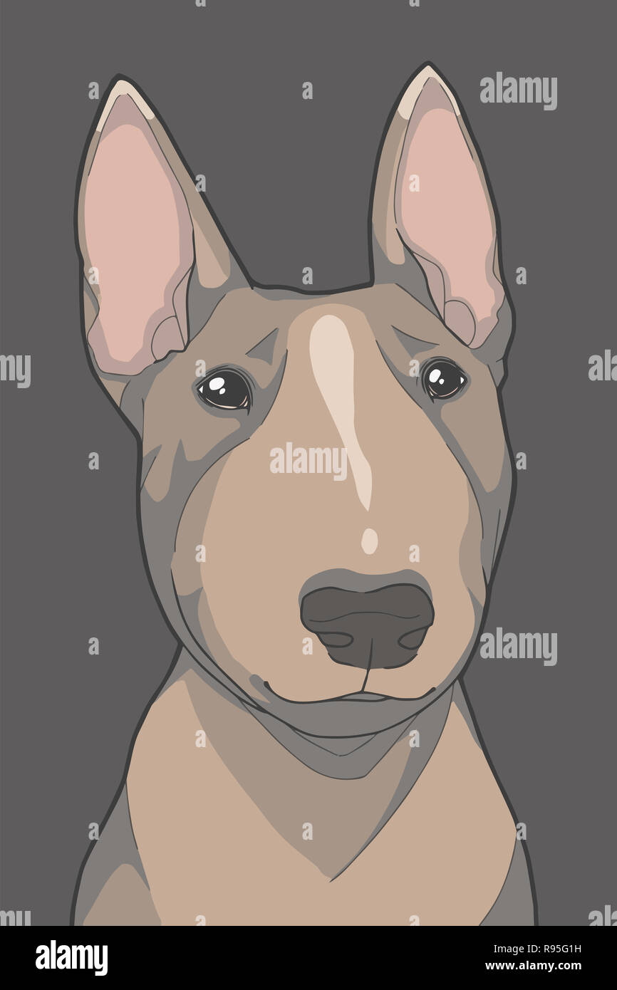 Bull Terrier Dog Cartoon Illustration Stock Photos & Bull Terrier Dog ...