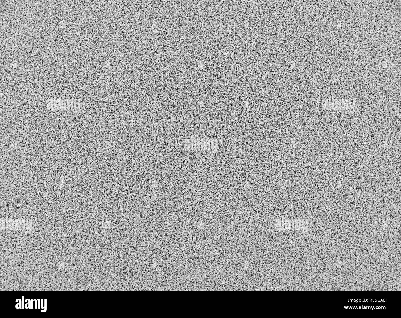 Spongy texture Black and White Stock Photos & Images - Alamy