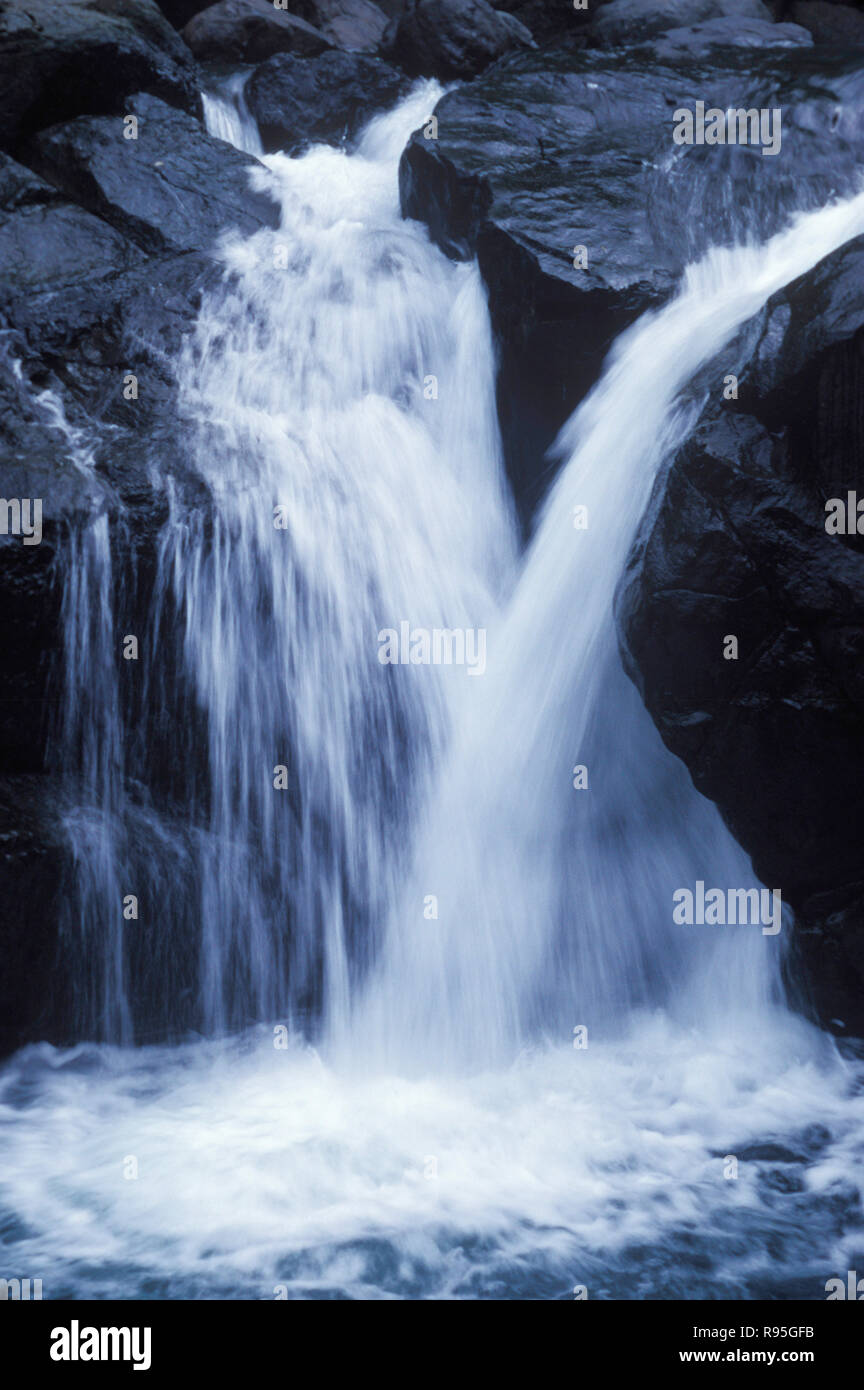 Chinchoti waterfall , Vasai, Maharashtra, India Stock Photo - Alamy