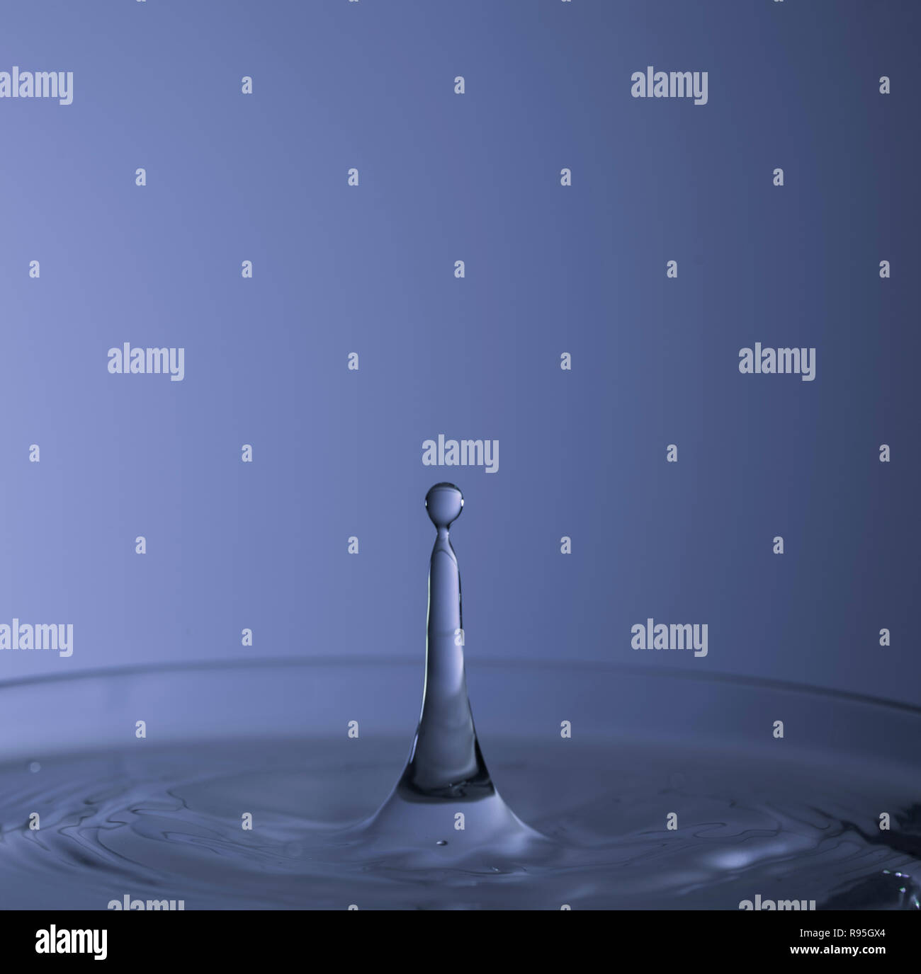 Closeup image of water droplets frozen in time Stock Photo - Alamy