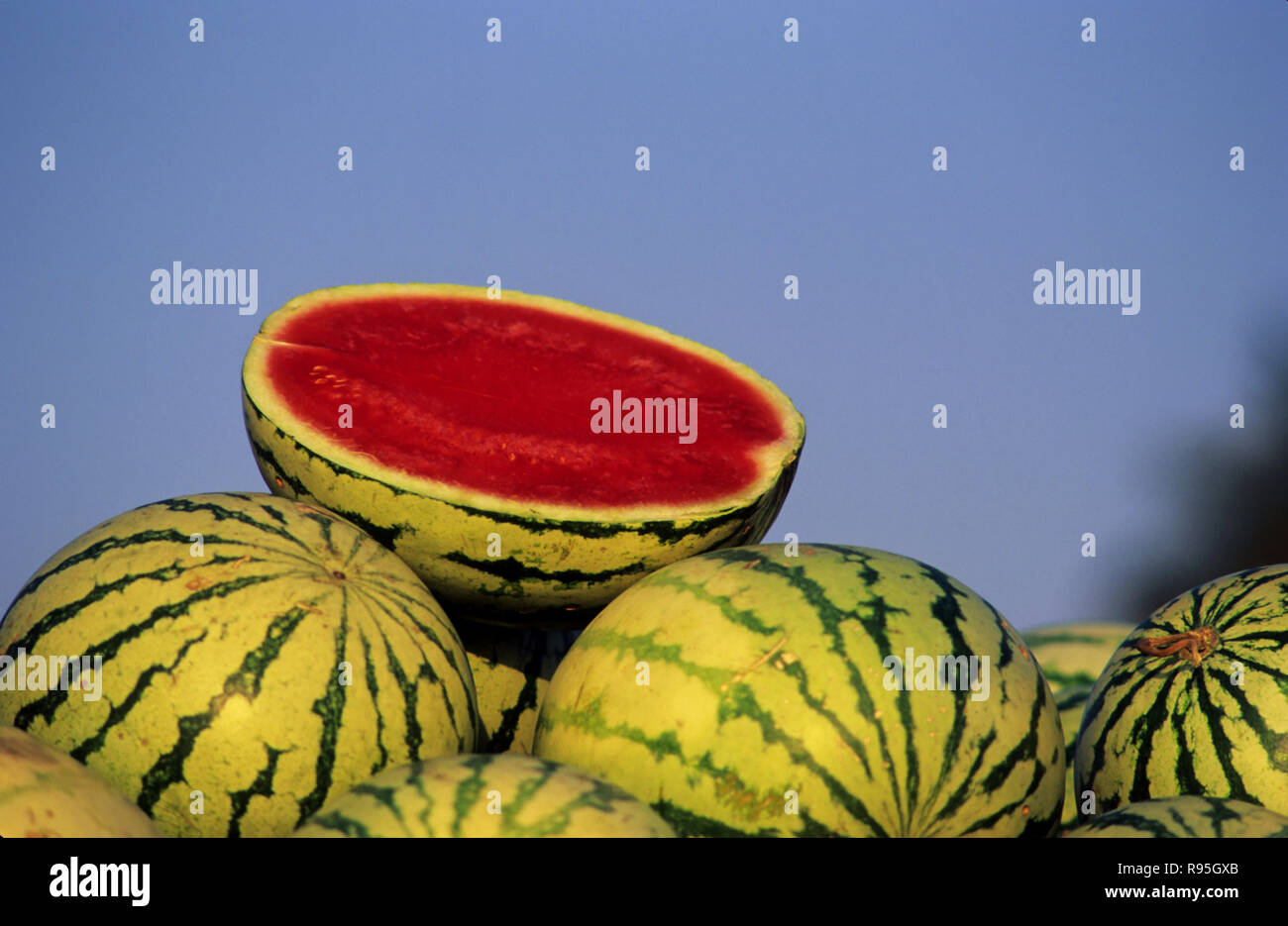 Watermelon photographs hi-res stock photography and images - Alamy