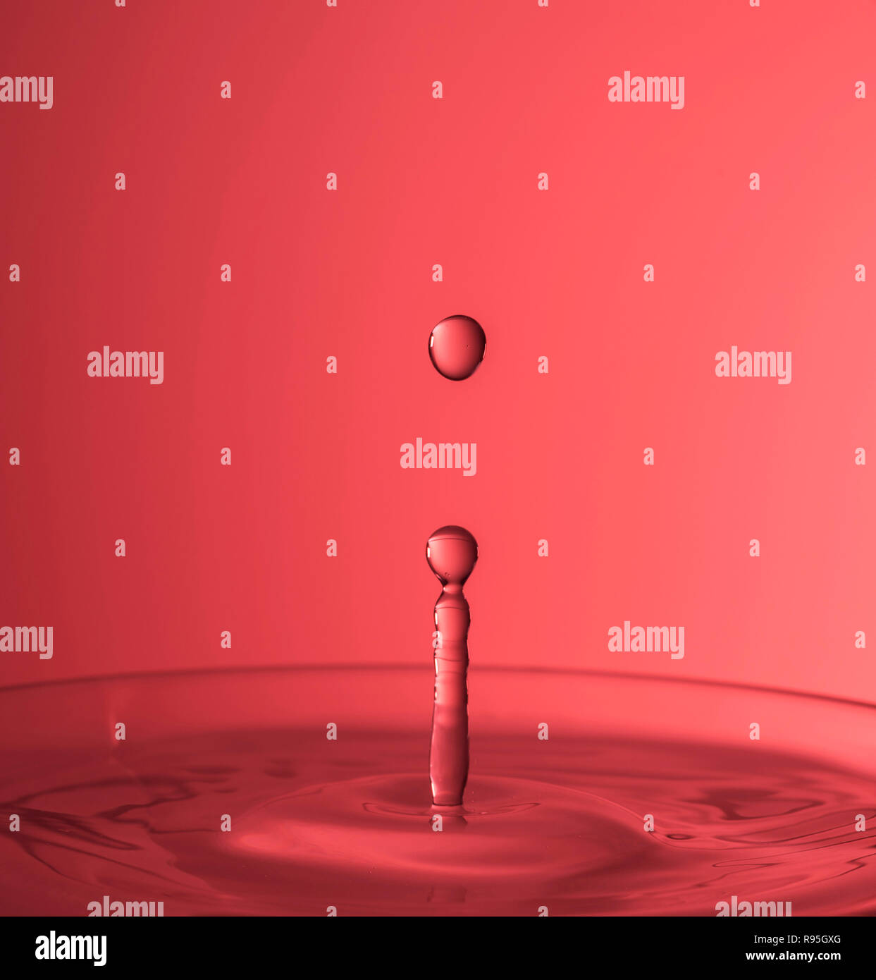 Closeup image of water droplets frozen in time Stock Photo - Alamy