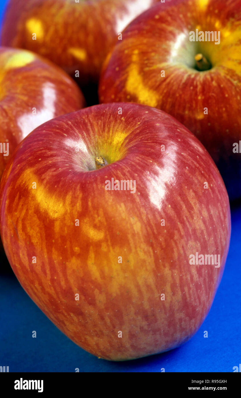 Indian four hi-res stock photography and images - Alamy