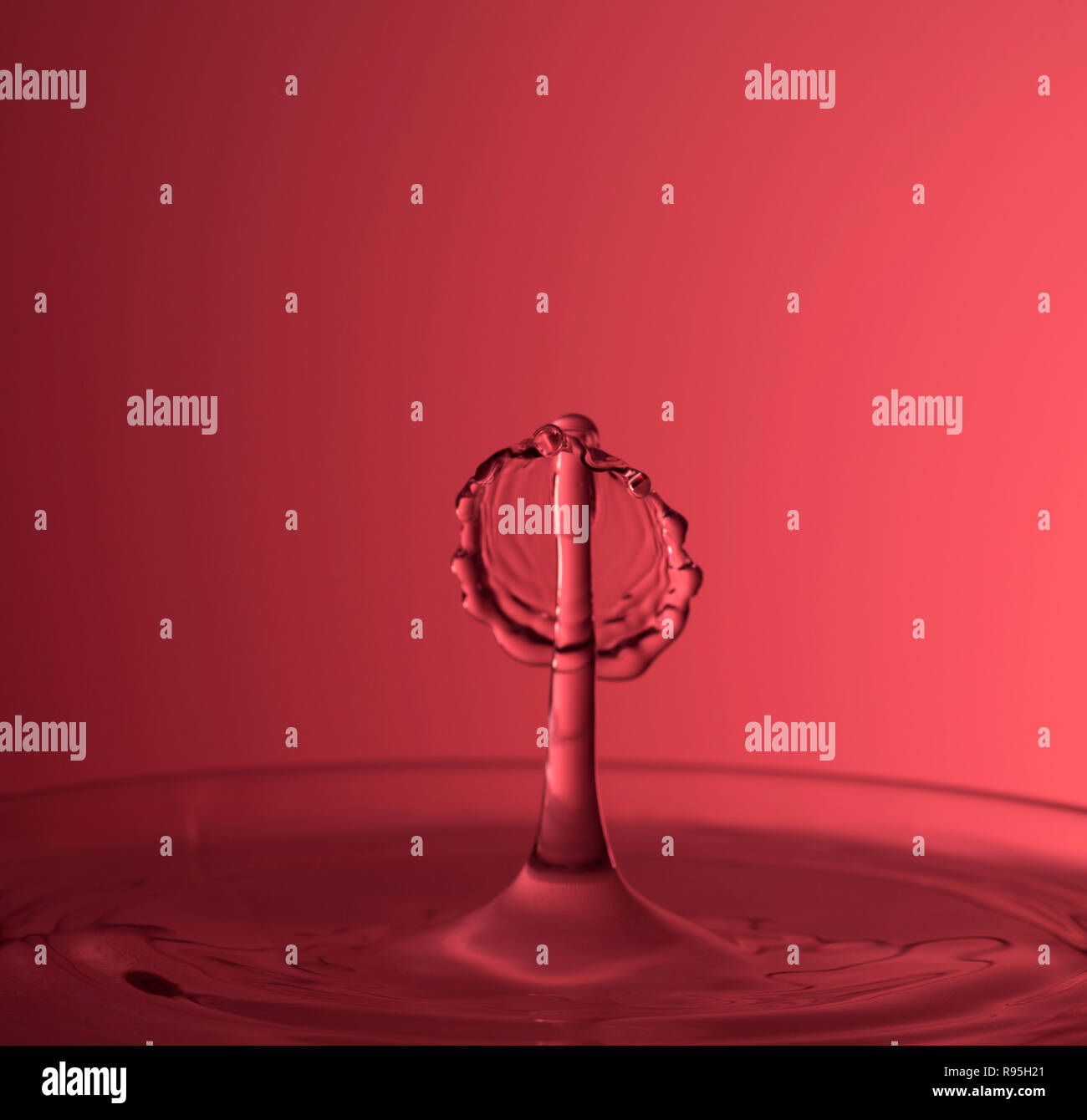 Closeup image of water droplets frozen in time Stock Photo - Alamy