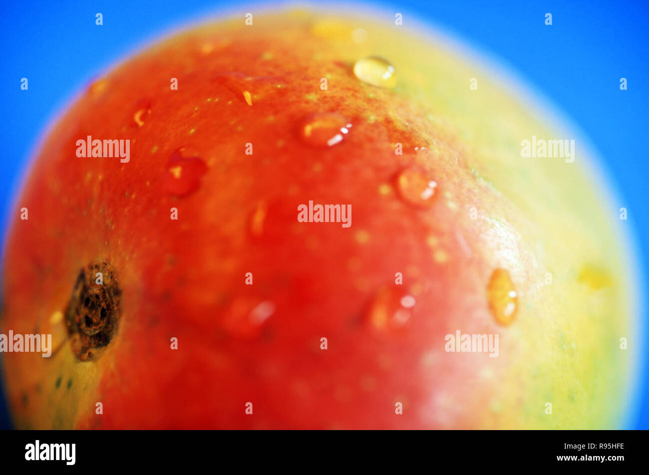 India food variety hi-res stock photography and images - Alamy