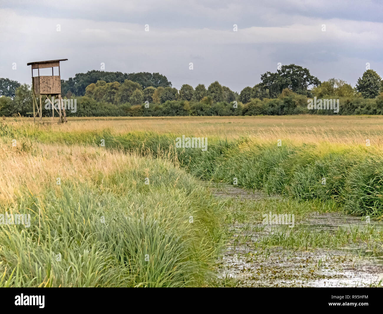 High stand hi-res stock photography and images - Alamy