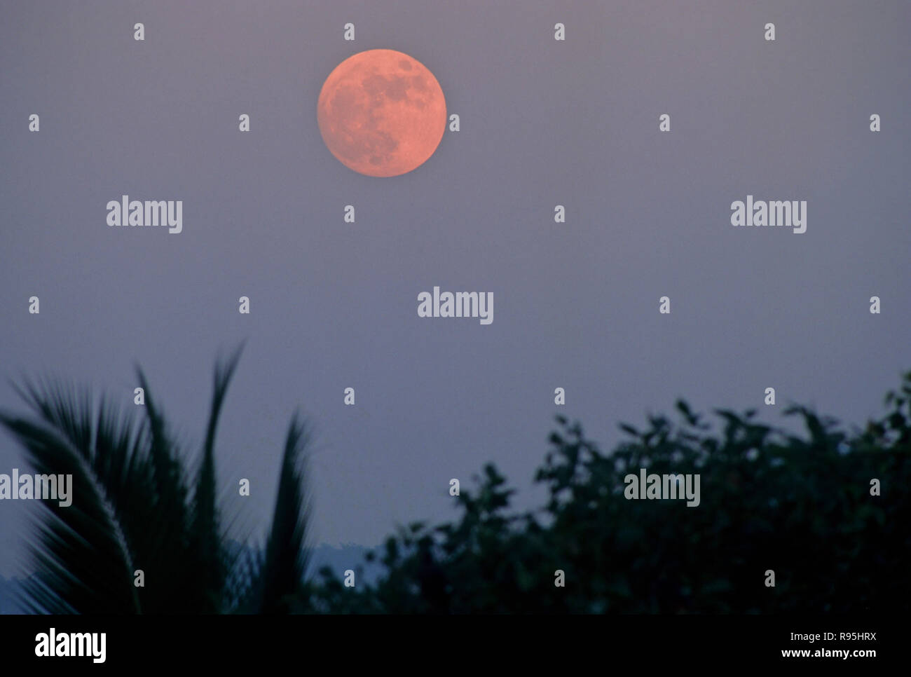 Full Moon rise Stock Photo - Alamy